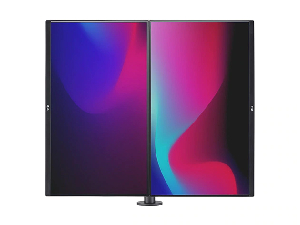 Dual 27" LG 27QP88D-BS QHD IPS Ergo Monitor | Computer Alliance