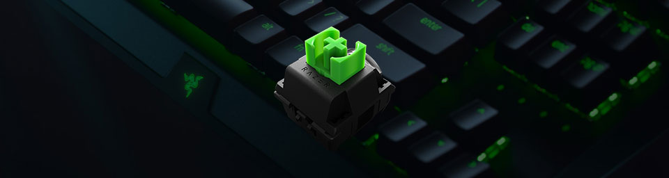 Razer BlackWidow V3 TKL Mechanical Gaming Keyboard Green RZ03-03490100 | CA