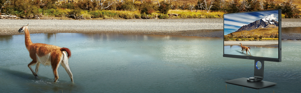 24" BenQ SW240 FHD IPS 99 ADOBE RGB Colour Accurate Monitor for ...