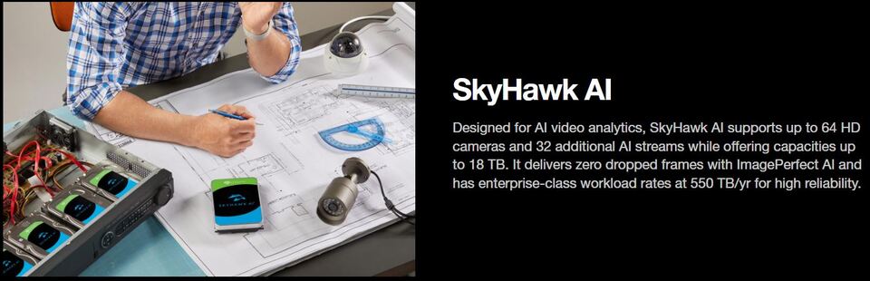 10TB Seagate 3.5" Skyhawk AI Surveillance HDD ST10000VE001 | CA